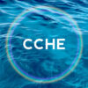 CCHE - Love a Crystal - Sandra Muller - Shamanic Healer