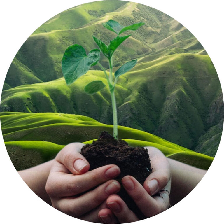 Book - Love a Crystal - Sandra Muller - Shamanic Healer